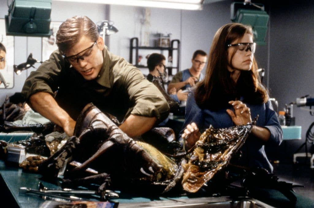 Starship Troopers' Denise Richards and Casper Van Dien reunite as co ...