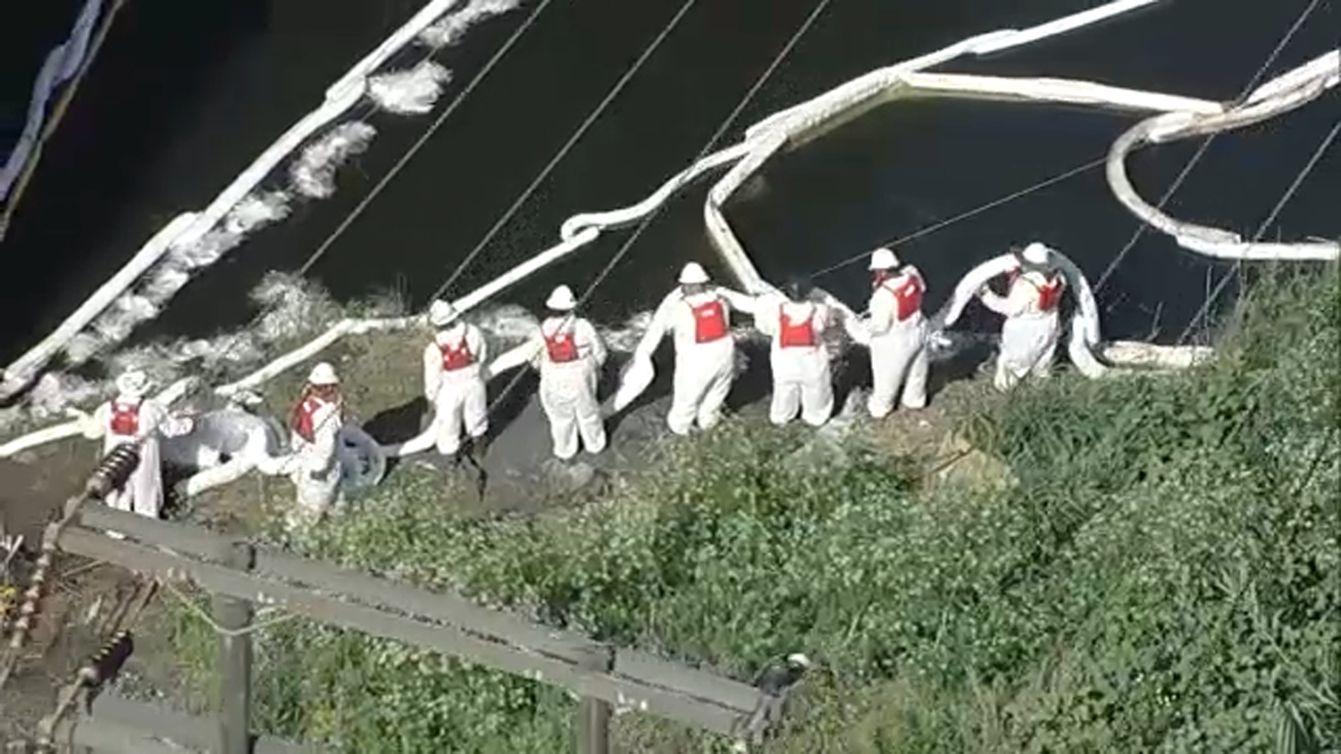 Cleanup continues after 2,400 gallons of oil spill and spread into LA ...