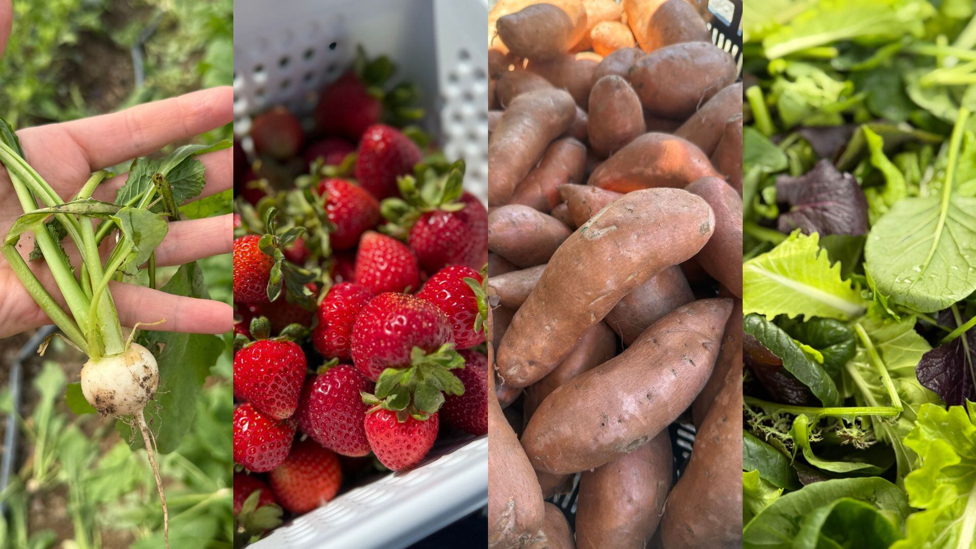 School district, Heartland farmers work together to feed students