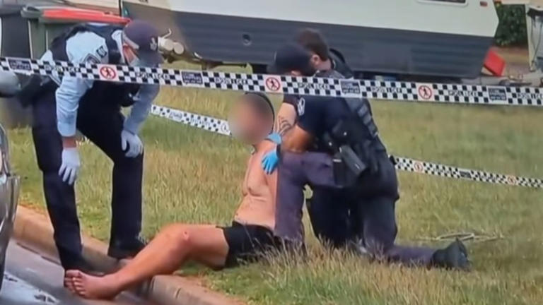 78YO dog walker killed with metal pole