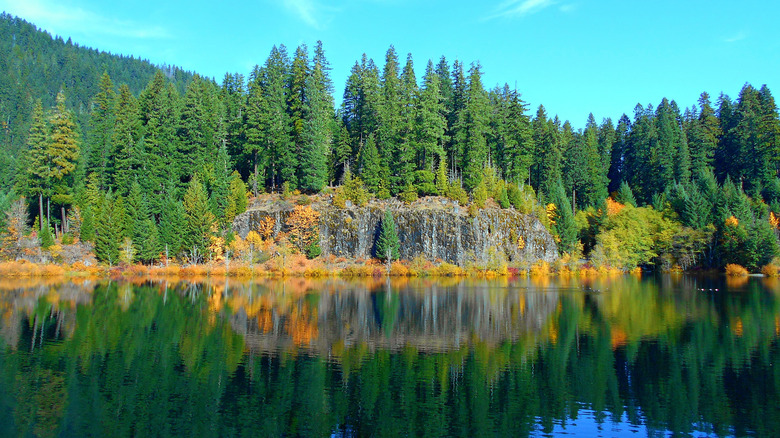 Oregon's artificial lake in the mountains is a scenic haven for fishing ...