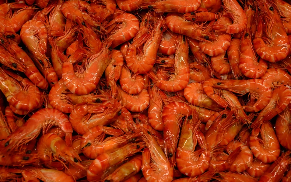 Shrimp secrets for perfect juicy bites every time