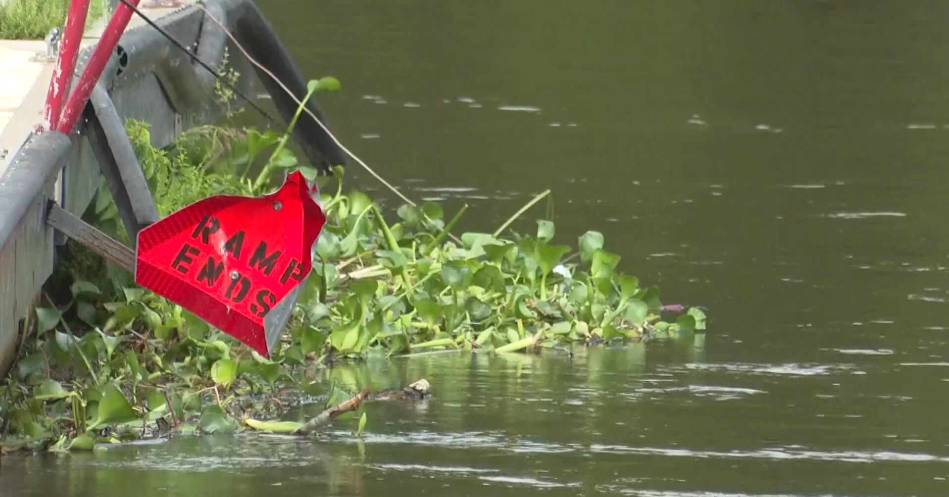 Recent rains bring contamination concerns to Savannah River, Clarks ...