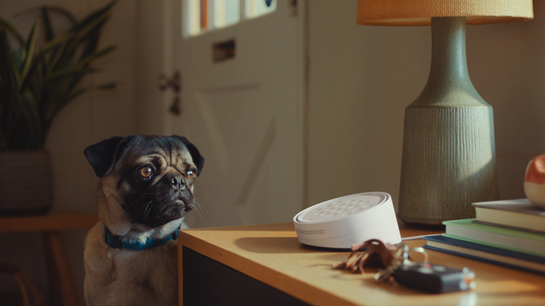 ADT Blu just released home security cameras you can set up in minutes