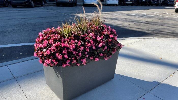 Bismarck-Mandan Chamber EDC plans to beautify Bismarck