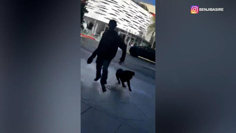 Man who shouted 'genocide,' attacked Jewish couple in Santa Monica charged