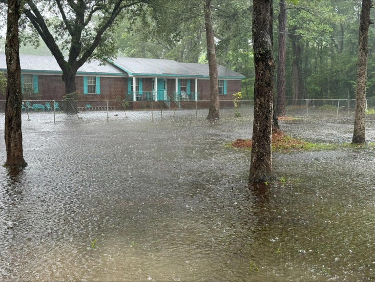 Overflowing ditches and stagnant water plague north Mobile County homes