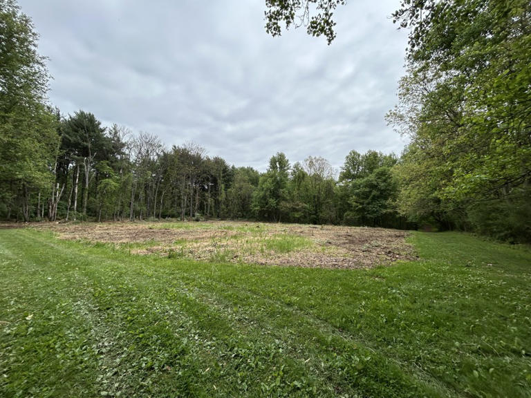 Conservation project to clear nearly a fourth of Dauphin County park