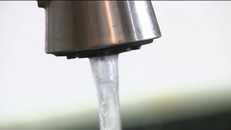 Fake water worker targets 76-year-old homeowner in Paulding scam