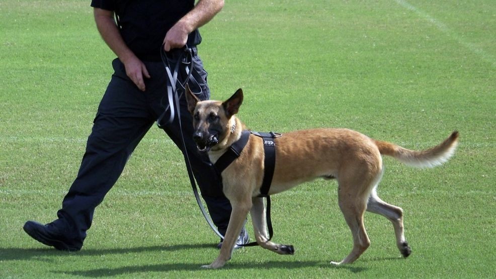 MPPD mourns fallen police dog Arie