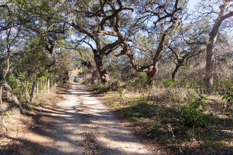 Texas to open second largest state park with Silver Lake Ranch acquisition