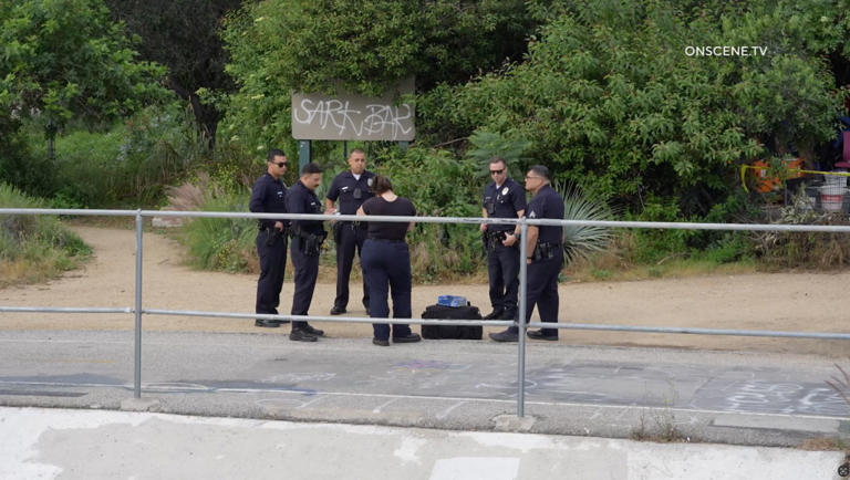 Nithya Raman abandons $4M for homeless encampment cleanup during run ...