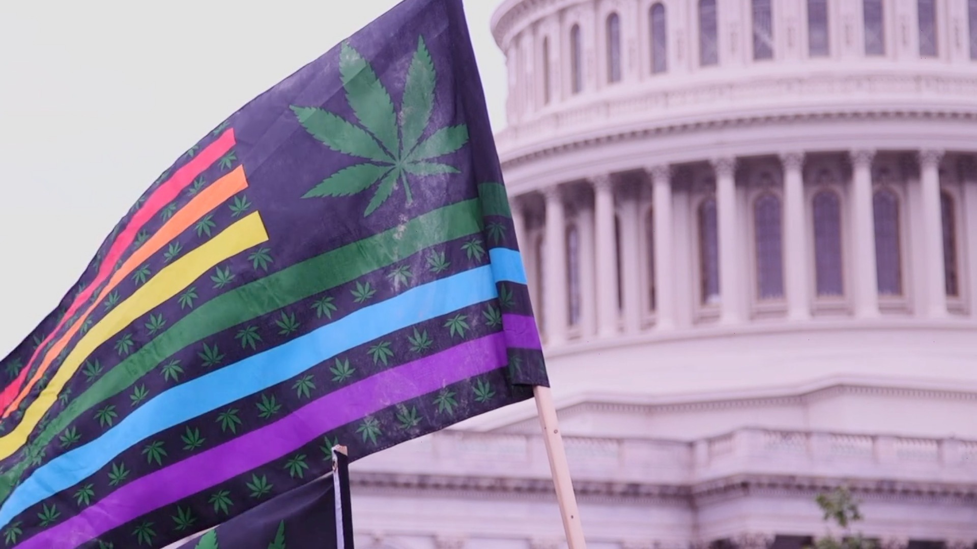 Cannabis legalization linked to small, sometimes significant long-term ...