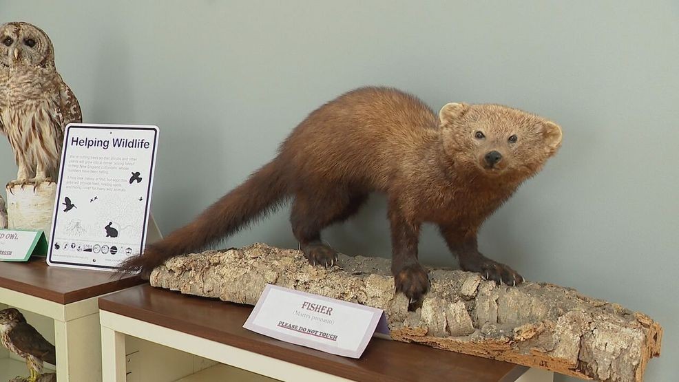 Rachel Carson Center for People and Nature opens in Kennebunk