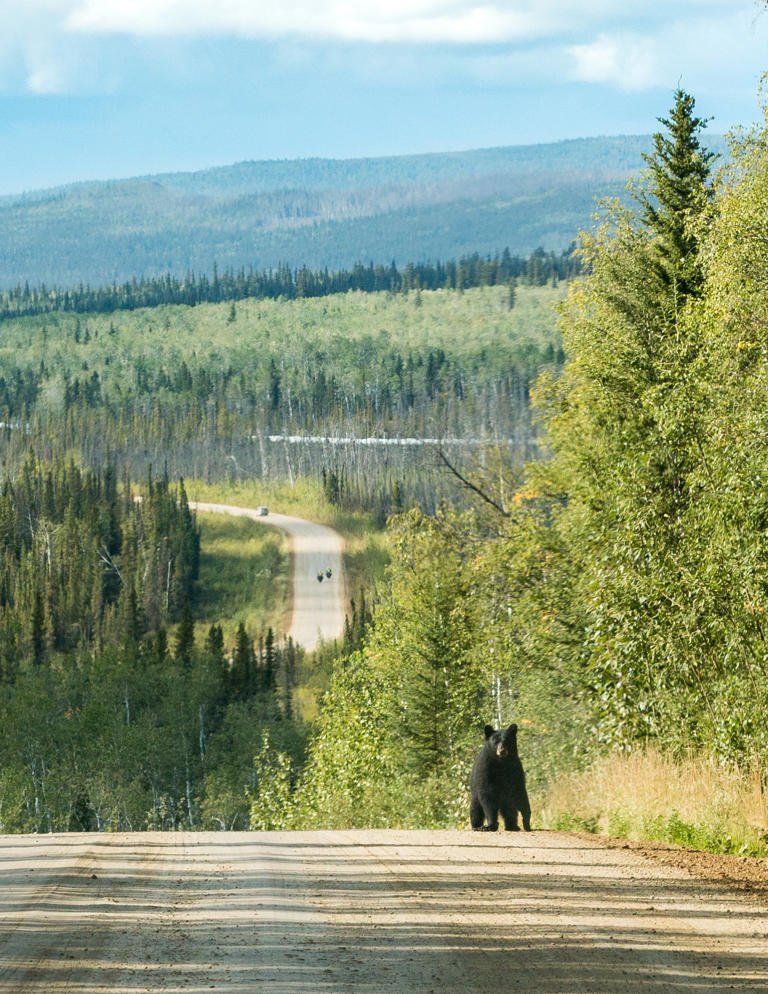 Federal Government Transfers 1.4 Million Acres Along Alaskas Dalton ...