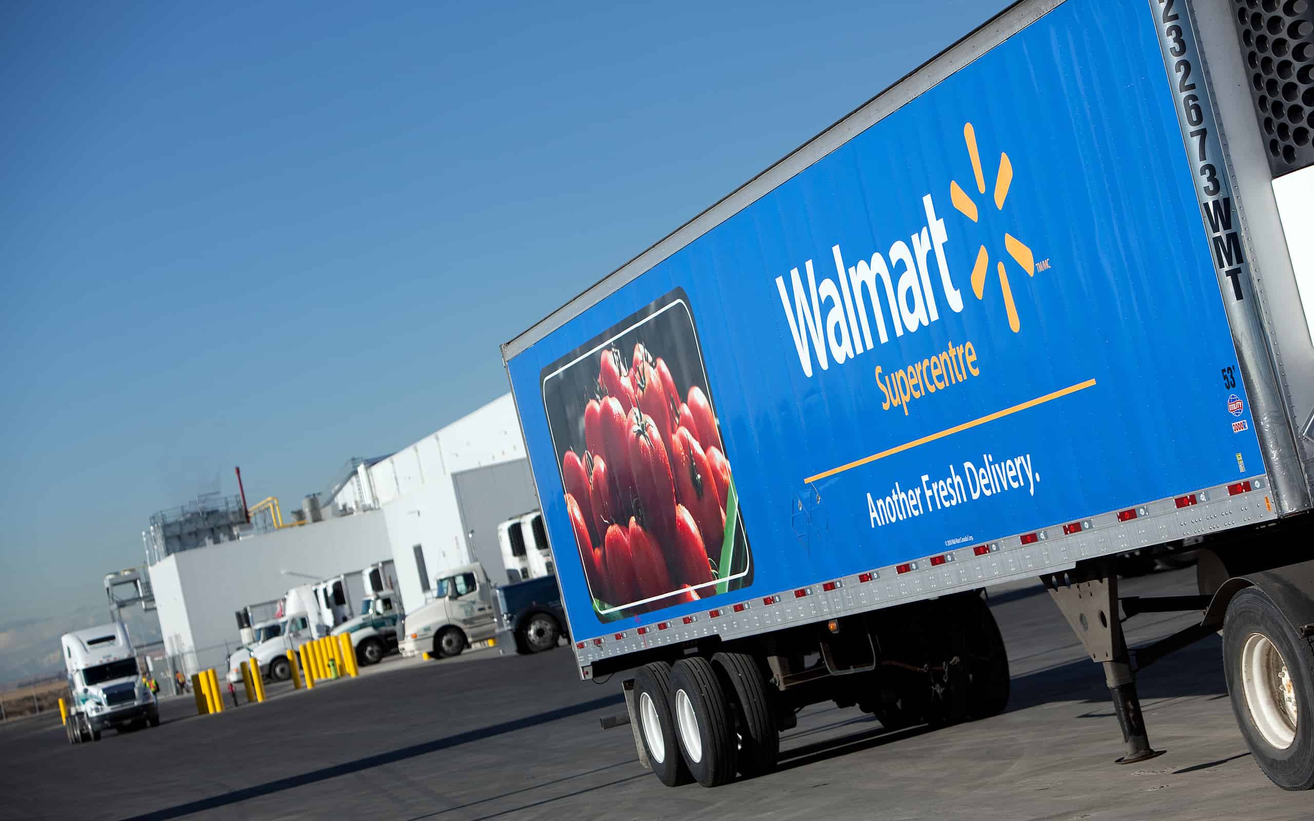 A giant prehistoric insect was found inside an Arkansas Walmart