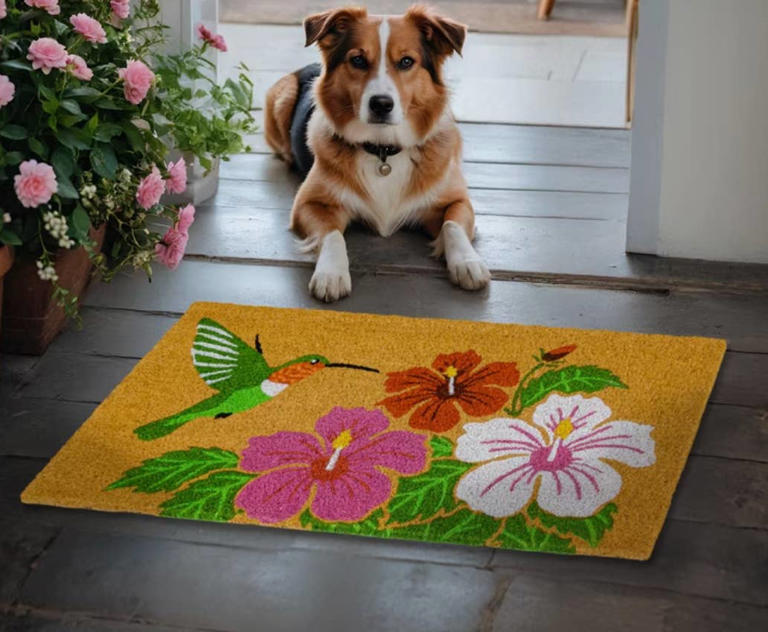 Walmart's bright and colorful hummingbird welcome mat is the ultimate ...