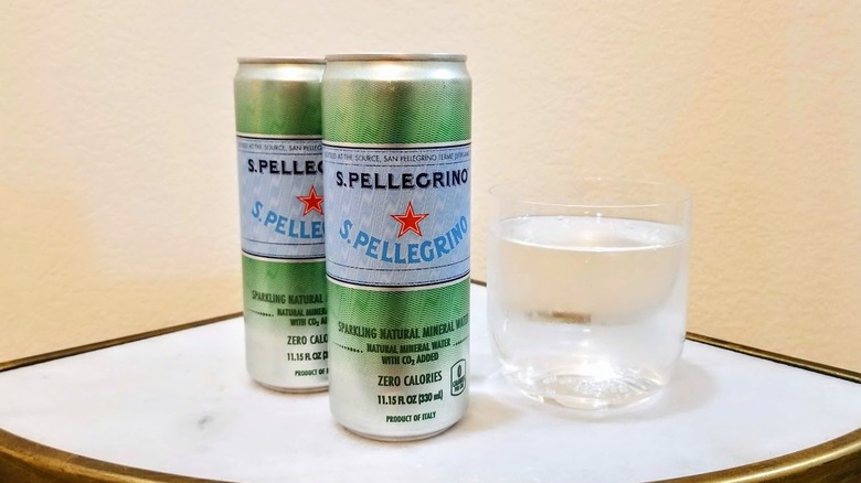 13 best canned sparkling water brands