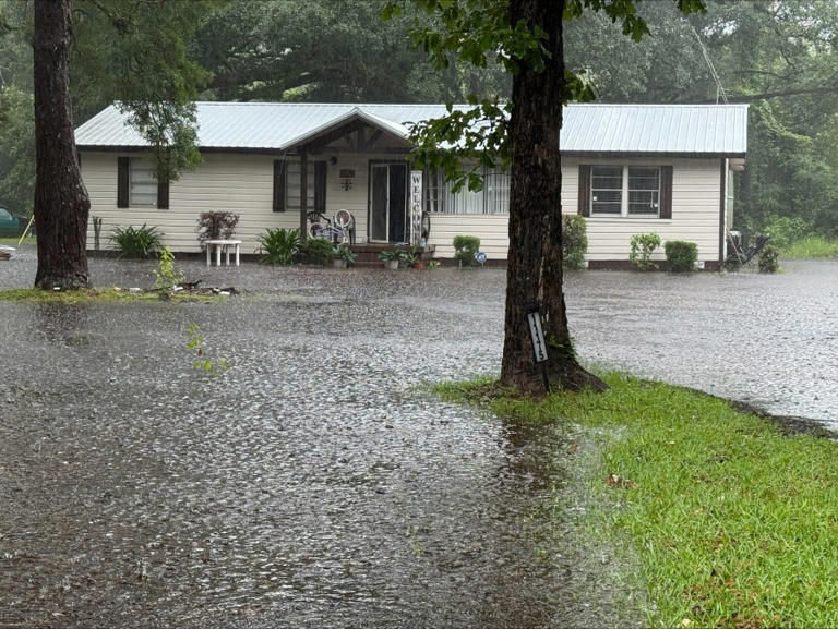 Overflowing ditches and stagnant water plague north Mobile County homes