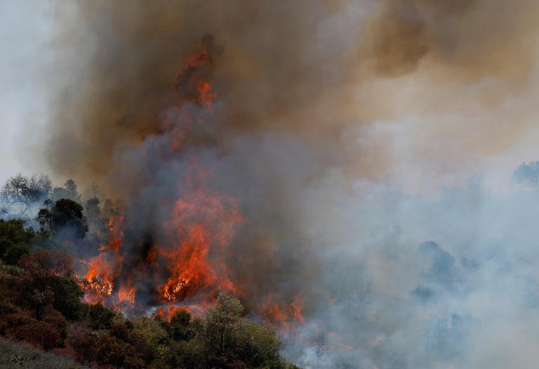 Map reveals where wildfires could hit hardest in US this summer
