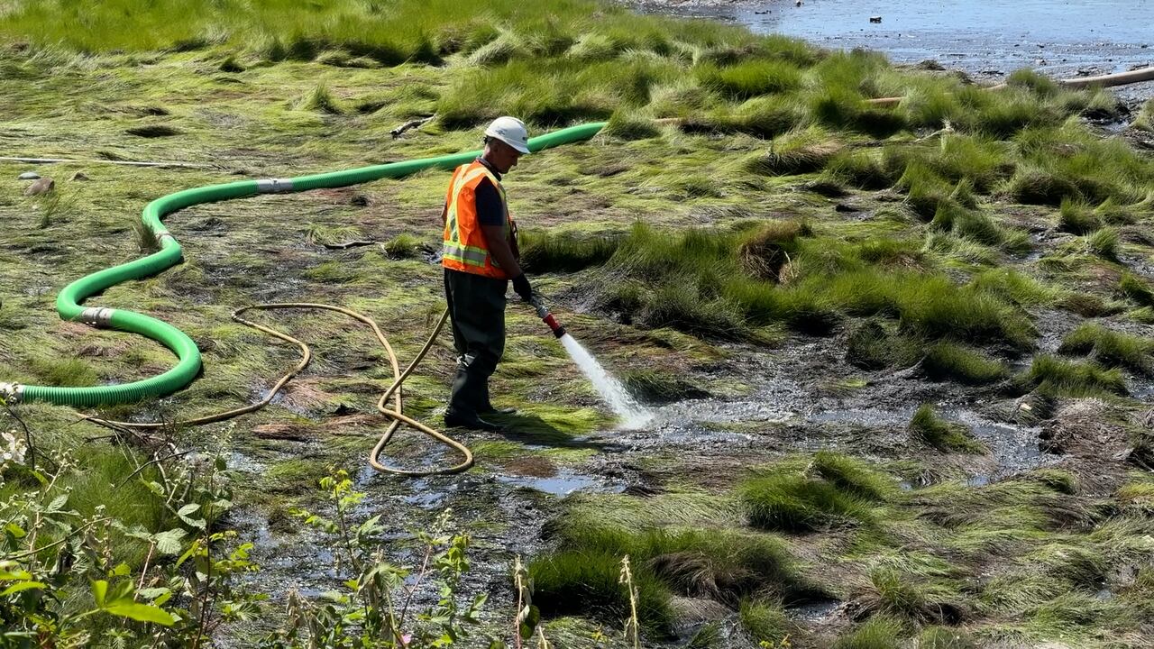 Clean up efforts underway after sewage leak in Comox Valley