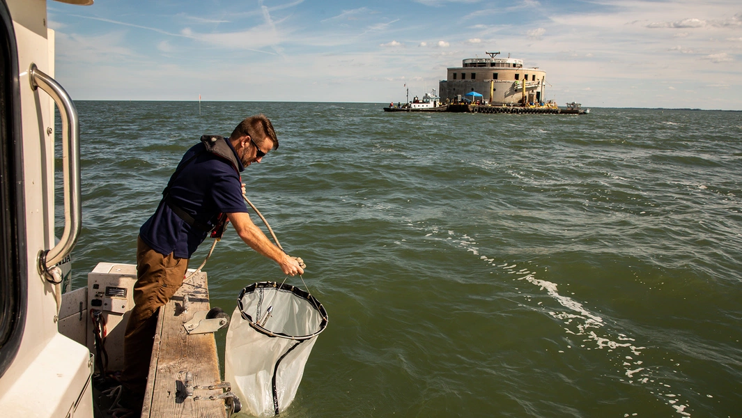 Lake Erie blooms found to contain hidden cocktail of toxins