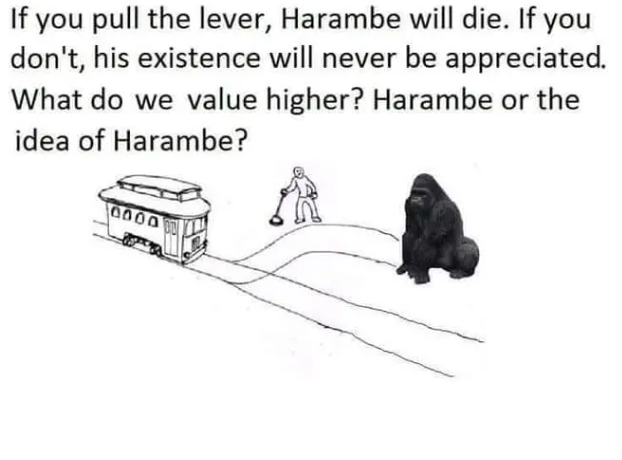 Why Harambe is still the gorilla of our memes 10 years after his death