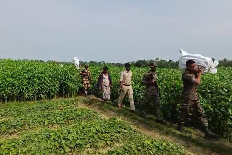 Cash buried under Bengal farmland: Over 2 crore recovered after arrest ...