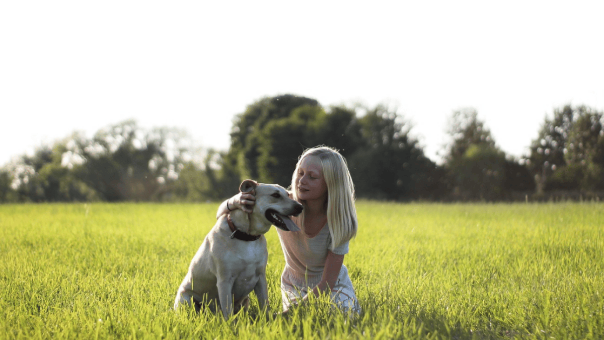 The 8 most hyperactive dog breeds (and how to survive the cuteness)