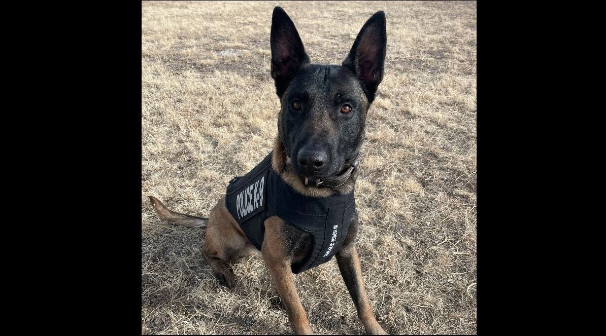 CSPD: Woman wanted on 6 felony warrants taken into custody after barricade