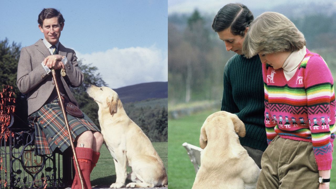 Princess Diana reportedly convinced Prince Charles to rehome his ...