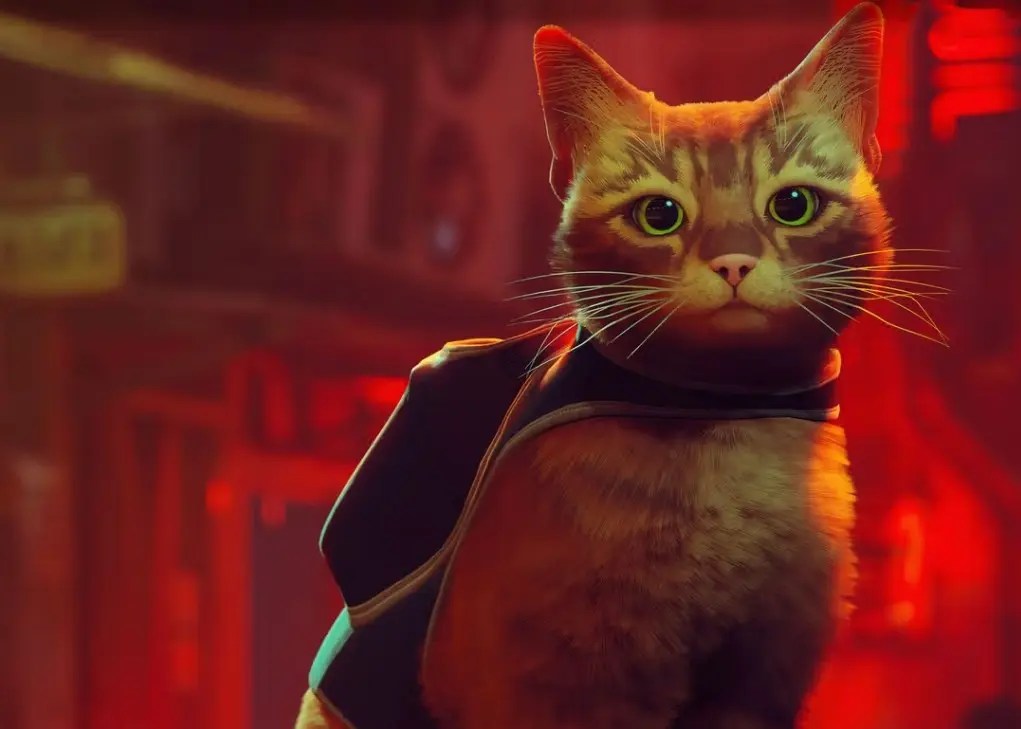 'Stray' cat finds new Nintendo home