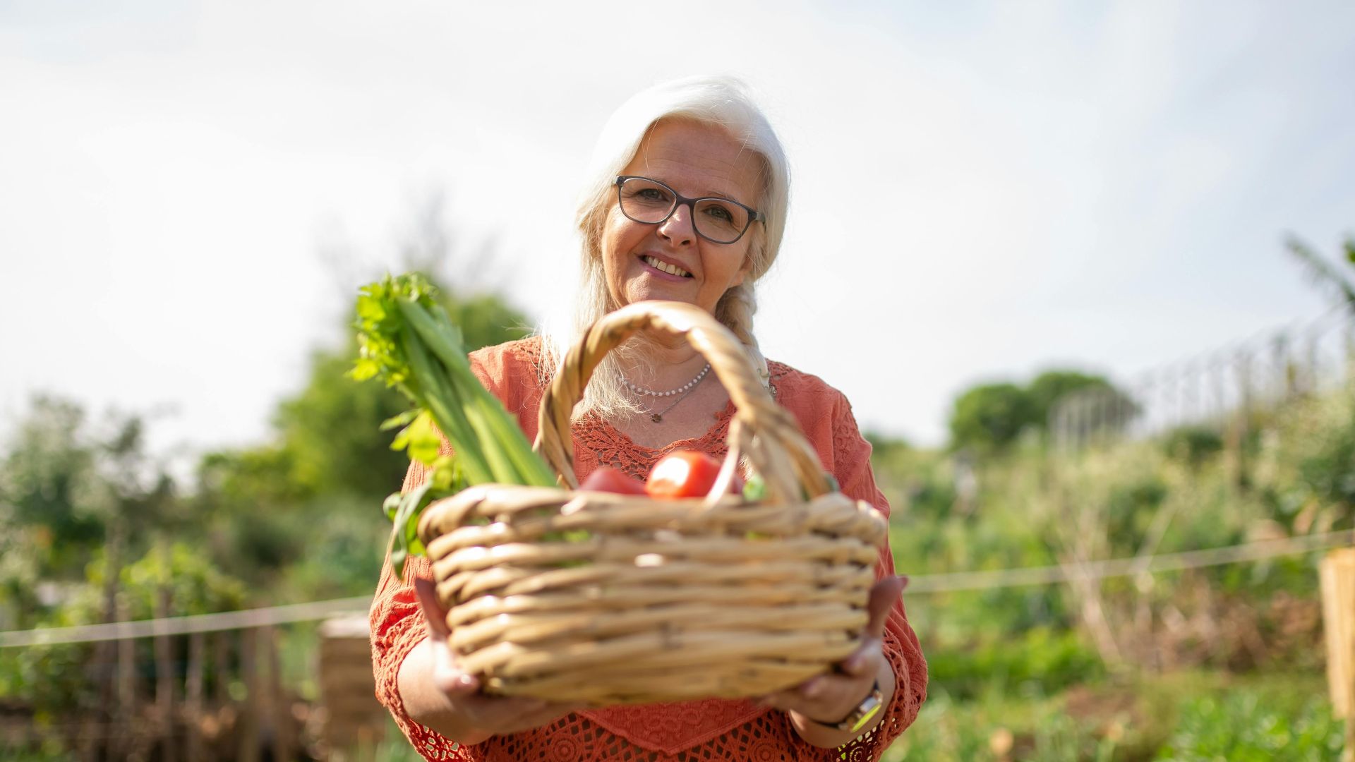 20 Easy Dinners for Seniors That Are High in Protein & Low in Sugar ...