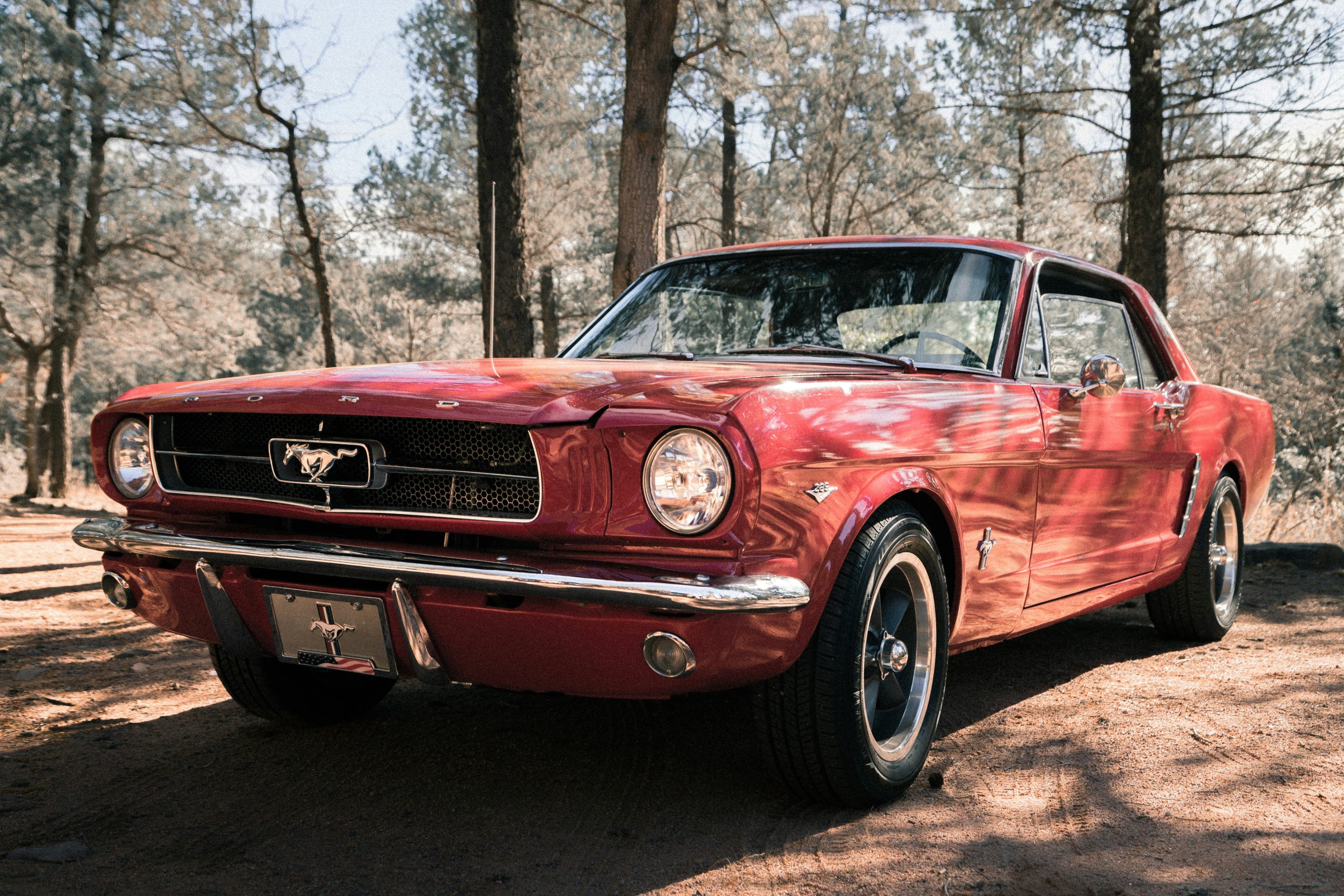 15 things to check on your vintage car monthly