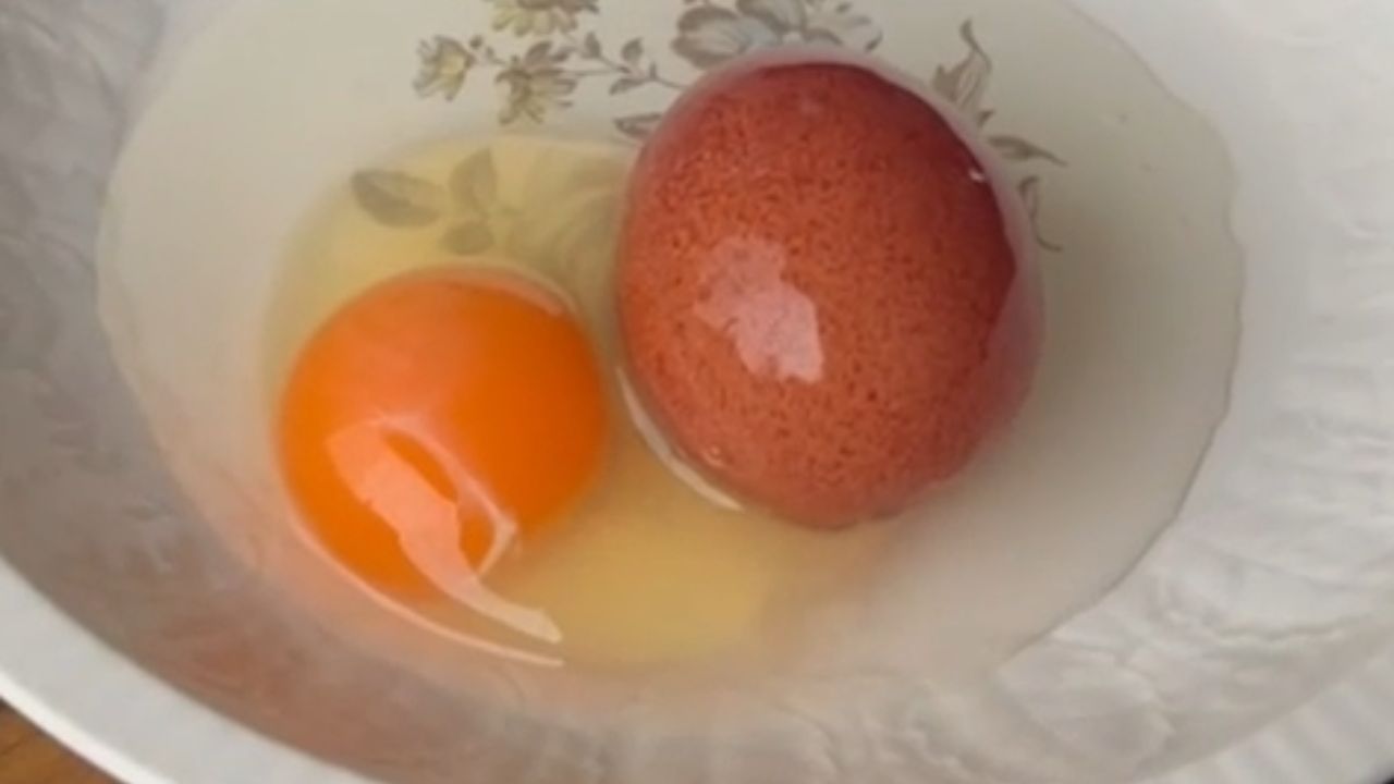 Oversized egg with a hidden twist inside