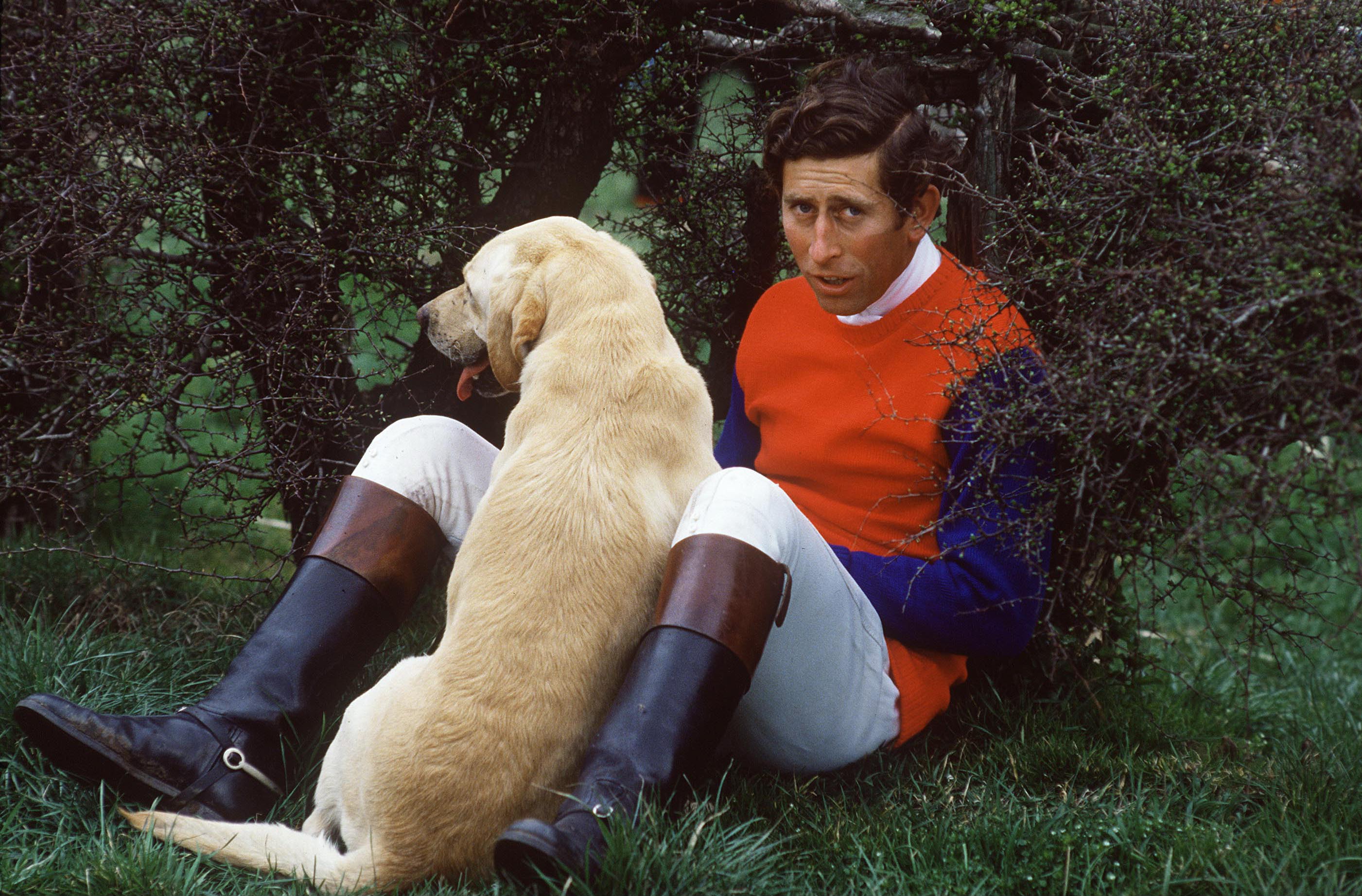 Princess Diana reportedly convinced Prince Charles to rehome his ...