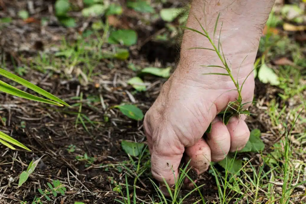 9 easy weed-killing hacks that save you hours in the yard