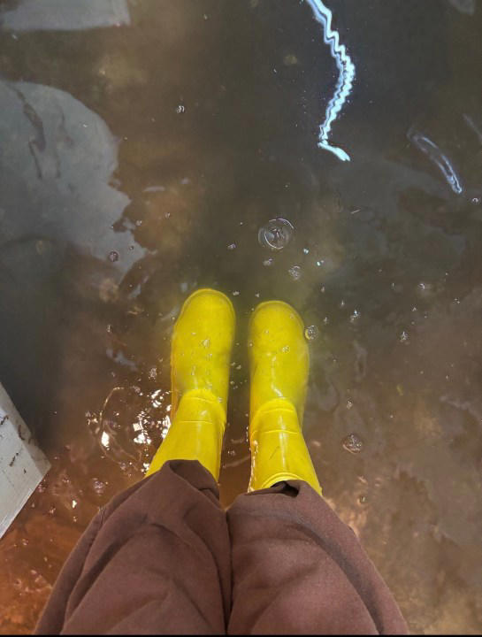 Call Rafael: Homeowners blame Citizens Energy for flooded basements
