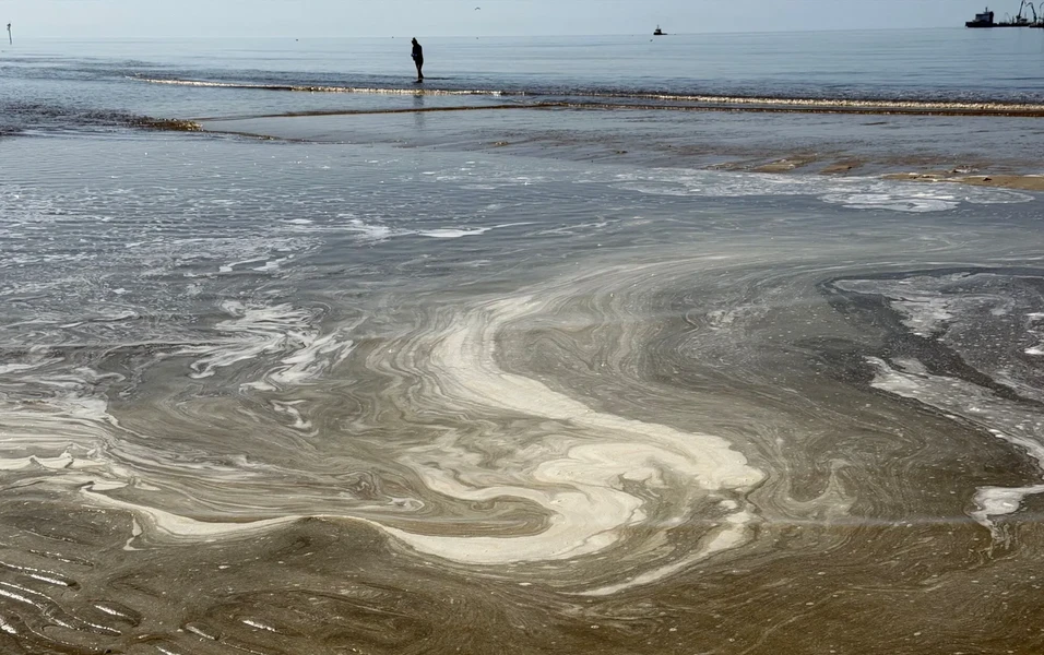 NASA's AI predicts harmful algae blooms before outbreaks