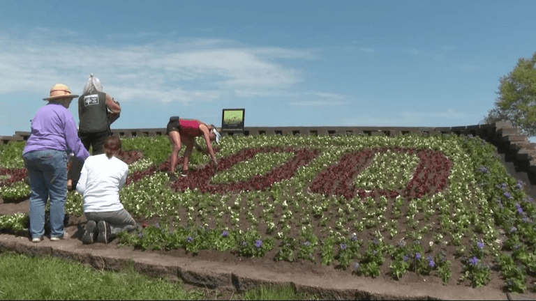Friendly Garden Club plants 5,000-plus flowers for Cherry Festival Logo ...