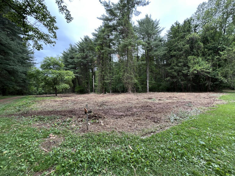 Conservation project to clear nearly a fourth of Dauphin County park