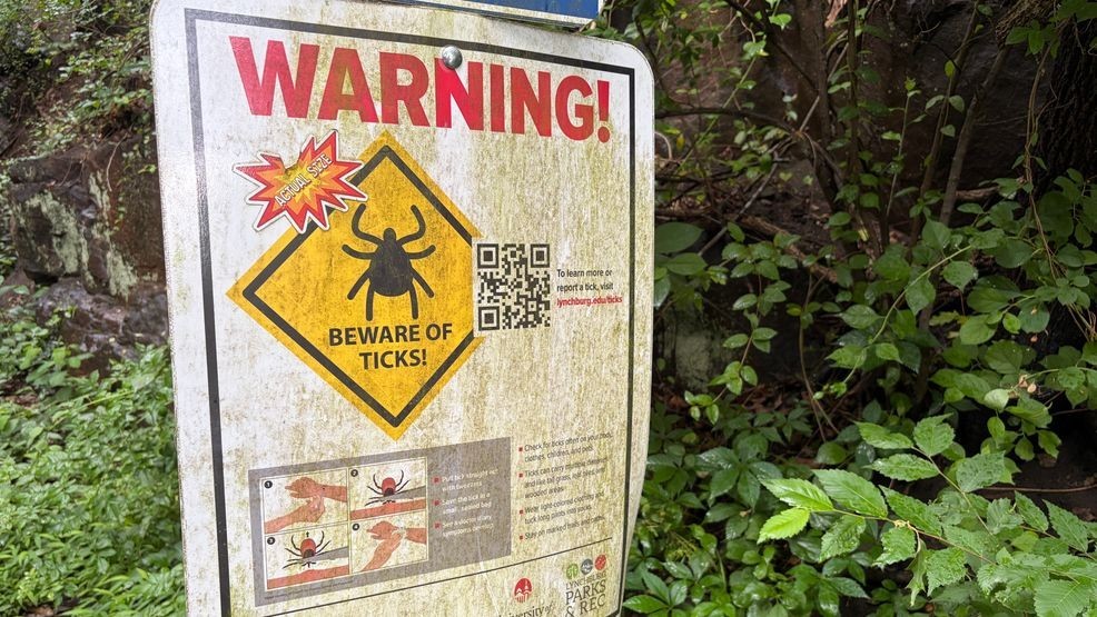 Old Dominion professor explains rising tick numbers