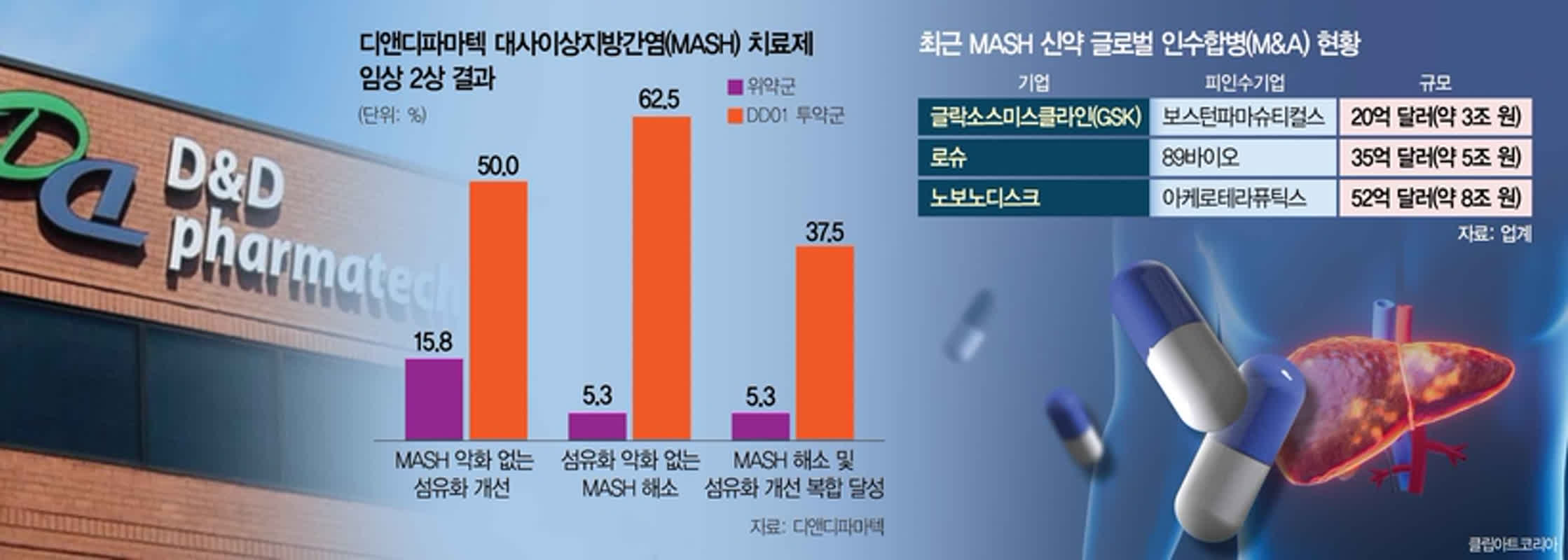 디앤디파마텍, MASH 치료제 美 2상 성공…기술수출 청신호