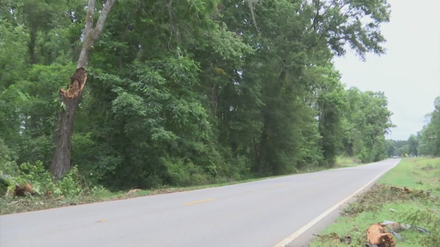 Hurricane Helene damaged trees continue creating concerns on roads