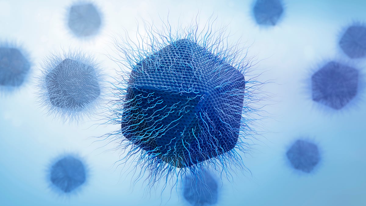 Scientists discover new giant virus that replicates in a totally unique way