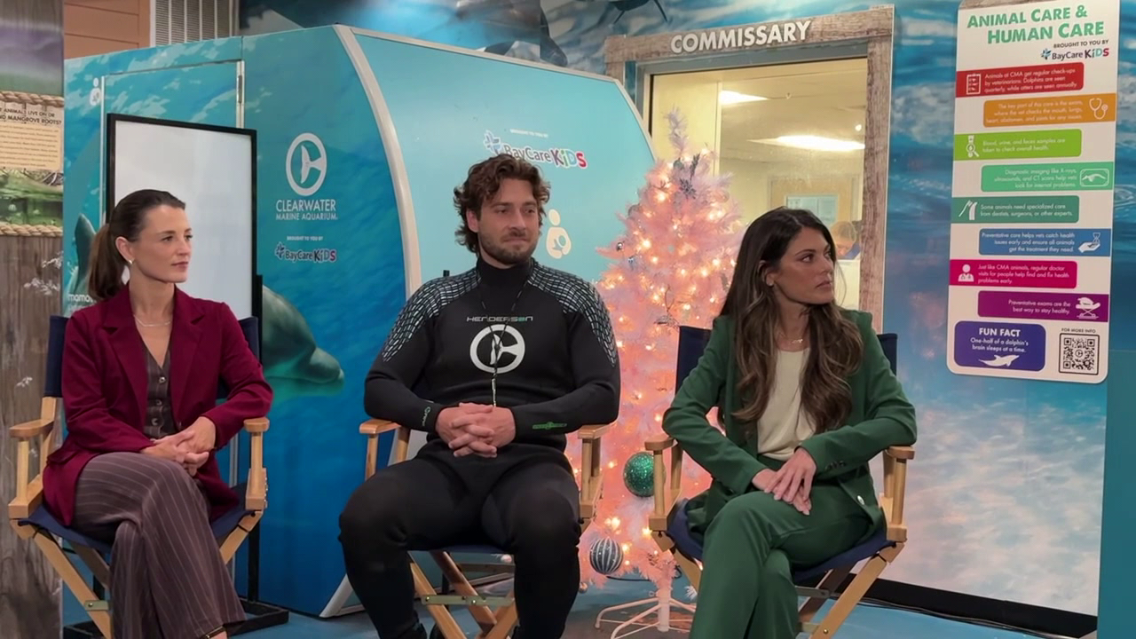 Clearwater Marine Aquarium serves as backdrop for new Christmas romance ...
