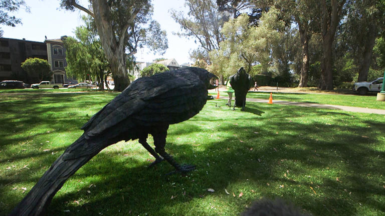 Big Art Loop spreads its wings in San Francisco