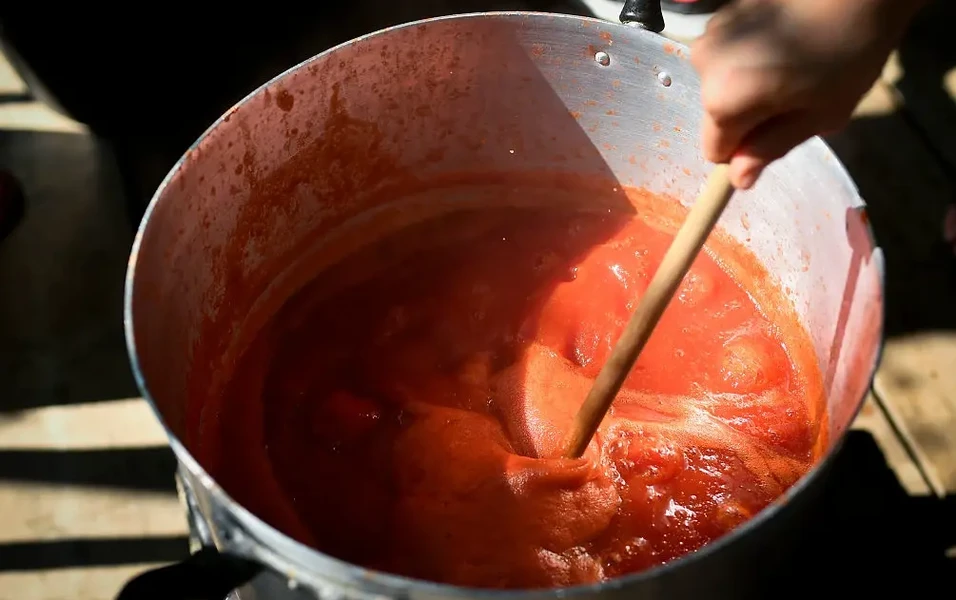 Homemade passata secrets every tomato lover needs