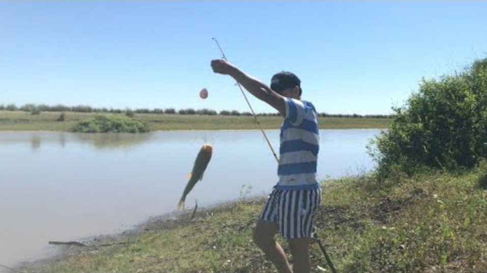 Pesca en arroyo inexplorado que me sorprendió