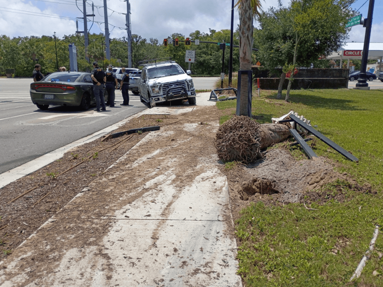 Wanted suspect pursued through Mount Pleasant, North Charleston ...